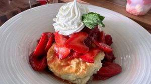 Zoom into Flavor at Sonic Speed Café